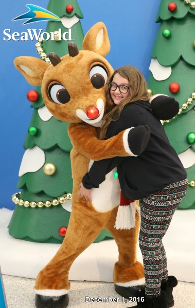 Find Rudolph and His Friends at SeaWorld's Christmas Celebration ...